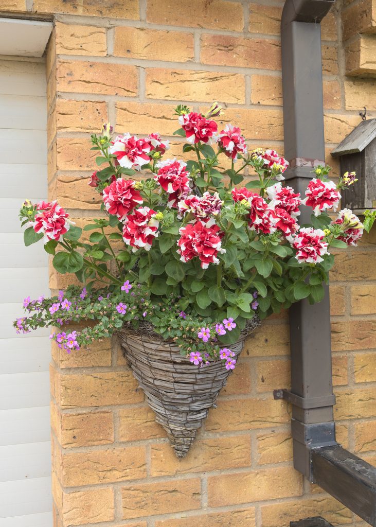 Contemporary & Quirky Mounted Outdoor Wall Planters ~ Fresh Design Blog