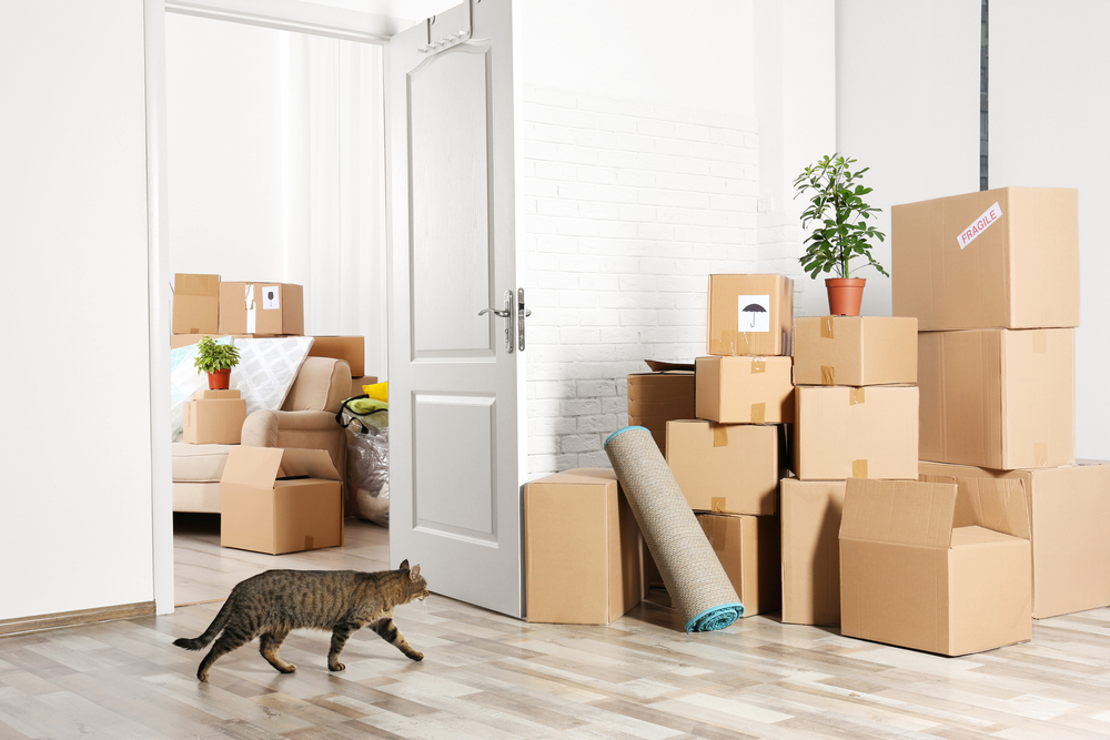 The Ultimate Apartment Moving Checklist ~ Fresh Design Blog