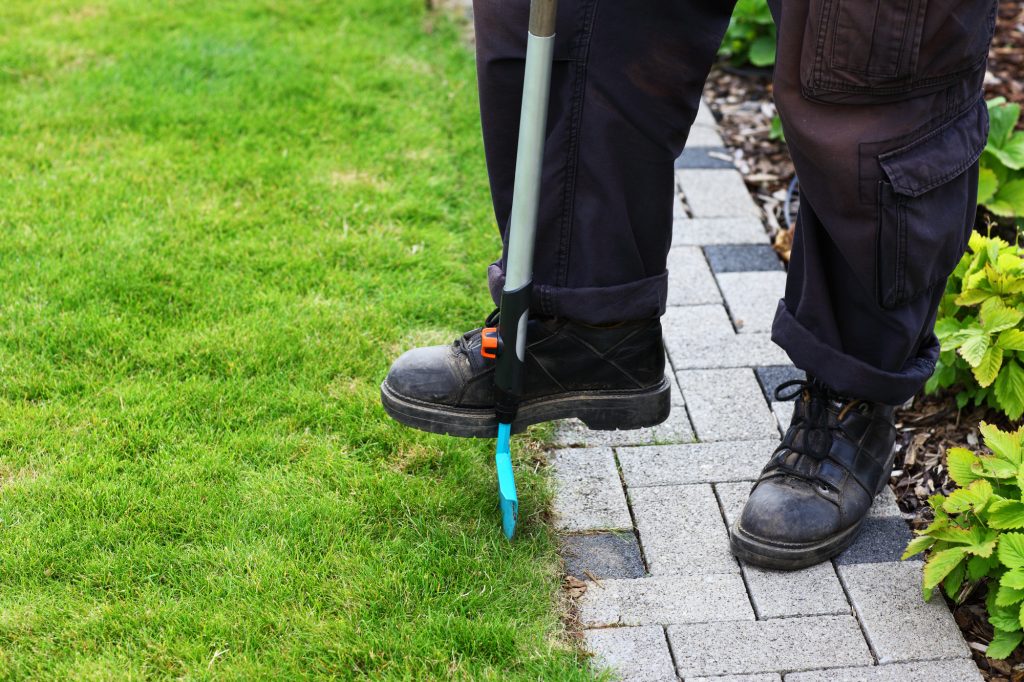 Grass Edging 101: Why It's Essential for a Neat Lawn ~ Fresh Design Blog