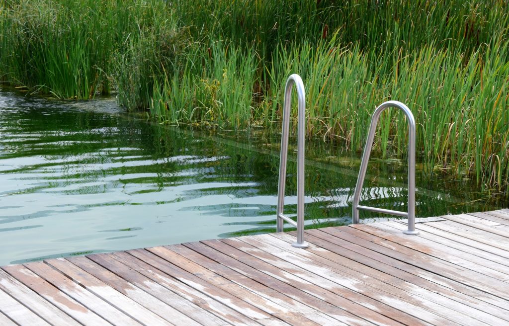 5 Reasons A Natural Swim Pond Is The Upgrade That Truly Adds Value ...