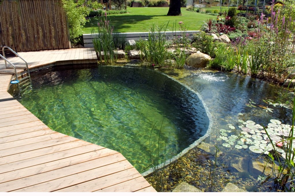 5 Reasons A Natural Swim Pond Is The Upgrade That Truly Adds Value ...