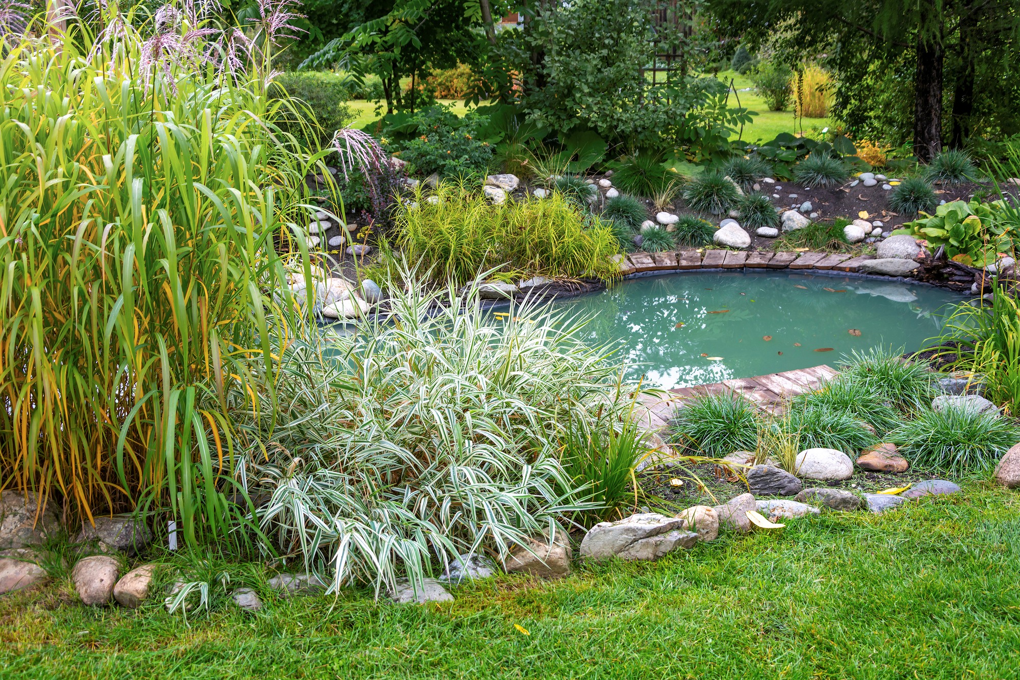 5 Reasons A Natural Swim Pond Is The Upgrade That Truly Adds Value ...