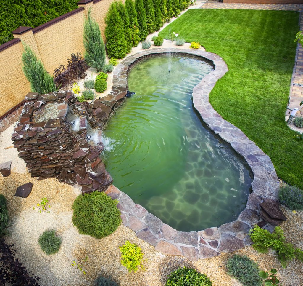 5 Reasons A Natural Swim Pond Is The Upgrade That Truly Adds Value ...